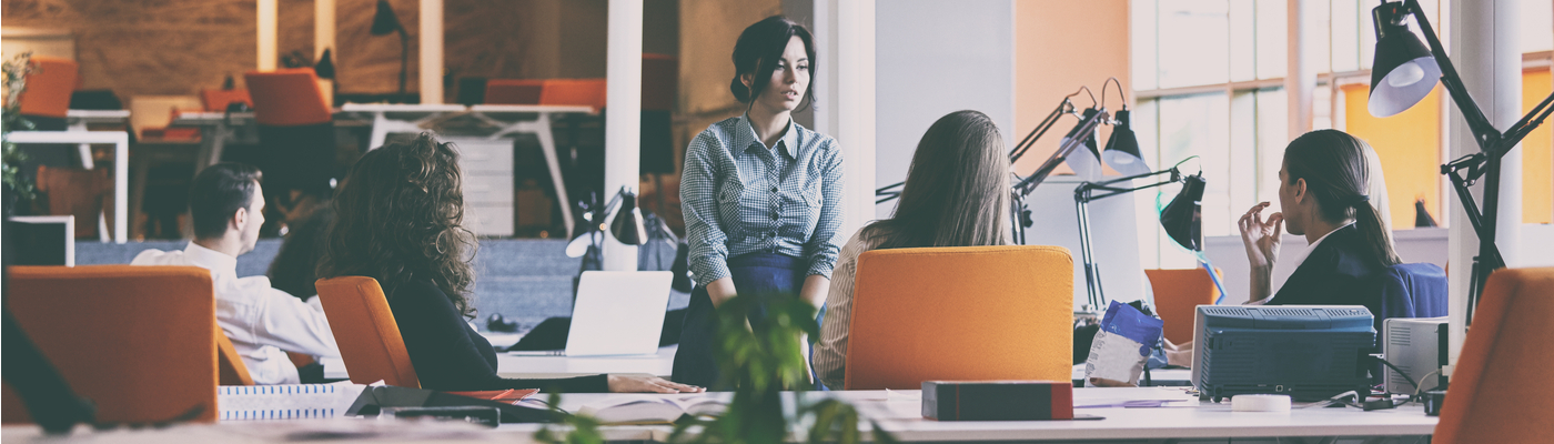 Customer Reference Program